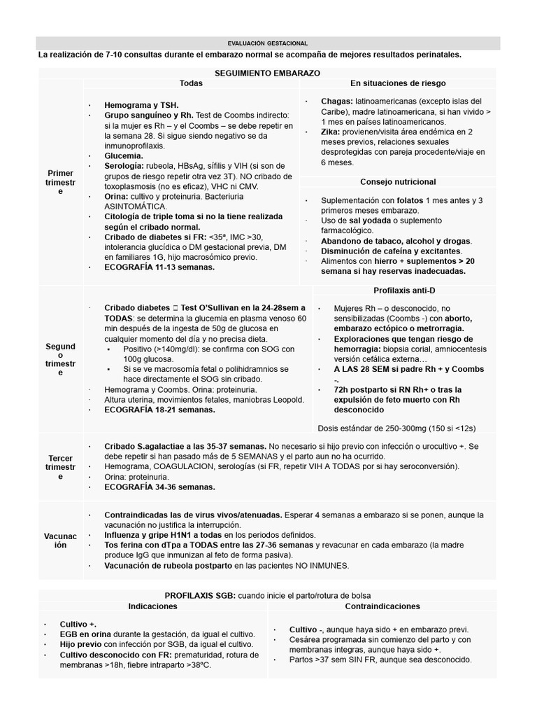 Embarazo Normal y DX Prenatal | PDF | Feto | El embarazo