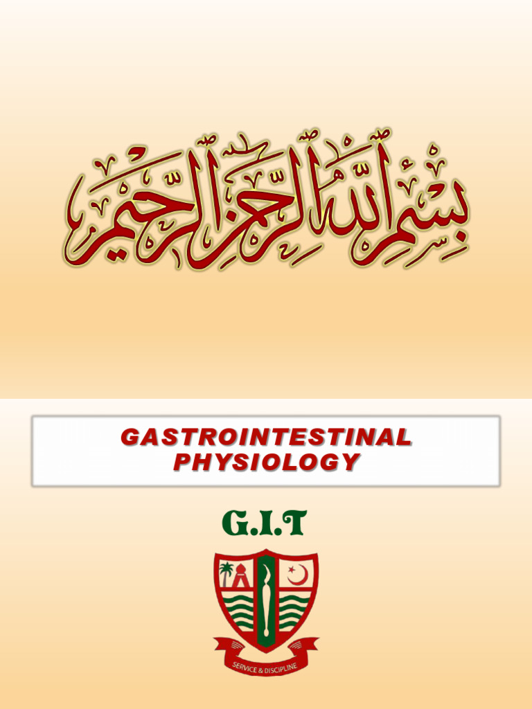 Lecture 13 Pdf Small Intestine Large Intestine