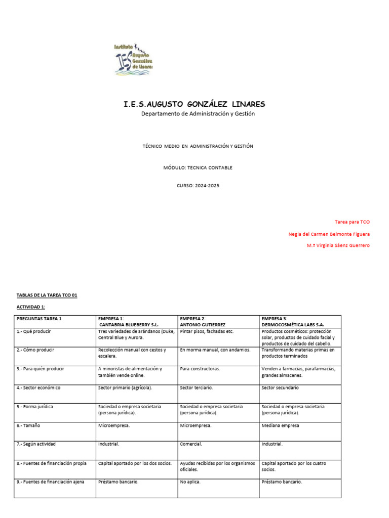 Belmonte - Figuera - Negia TCO 01 Tarea | PDF | Negocios económicos ...