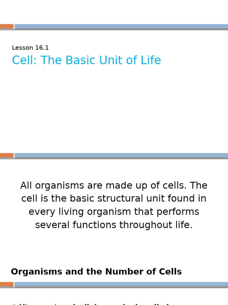 Cell - The Basic Unit of Life | PDF | Cell (Biology) | Organelle