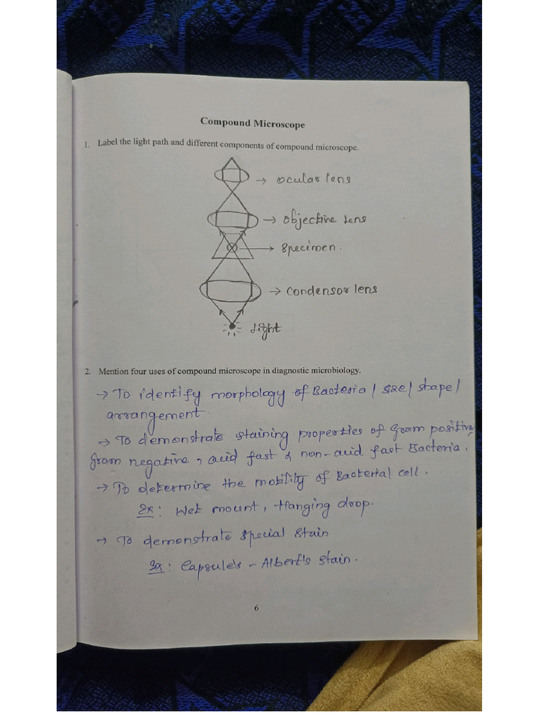 Microbiology Record ?? 3 | PDF