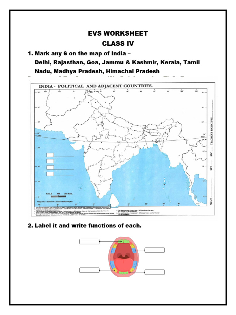 EVS WORKSHEET Class IV | PDF