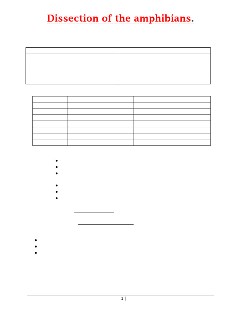 Frog and Toad Dissection Guide | PDF | Frog | Vein
