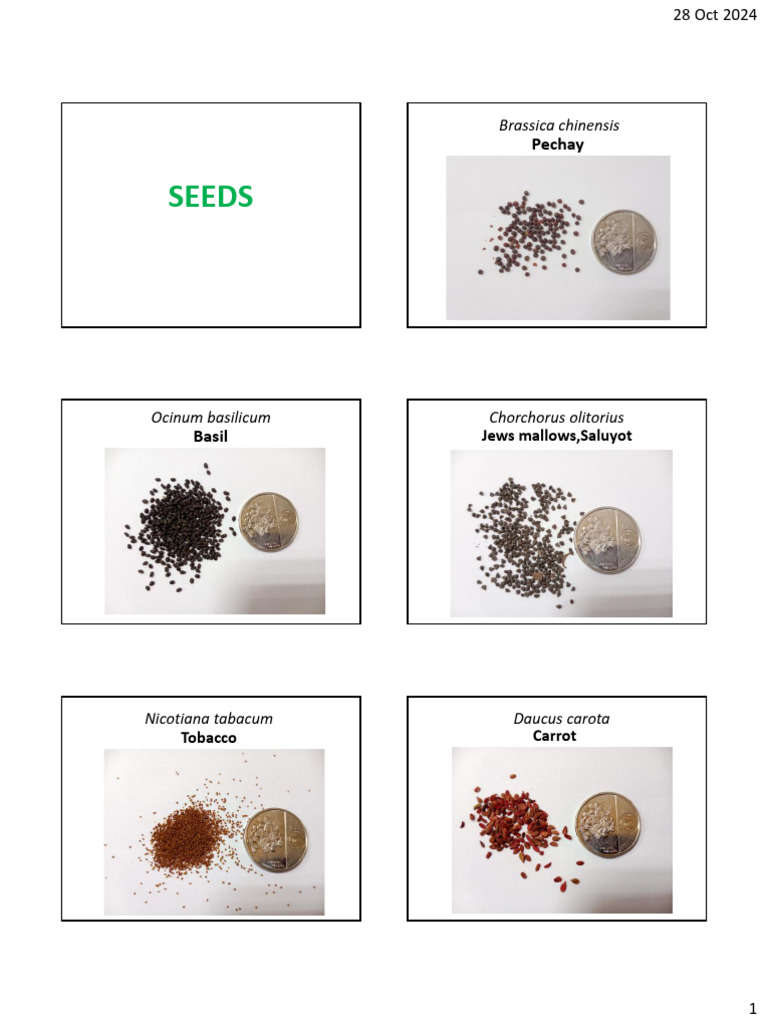 Seed Identification | PDF