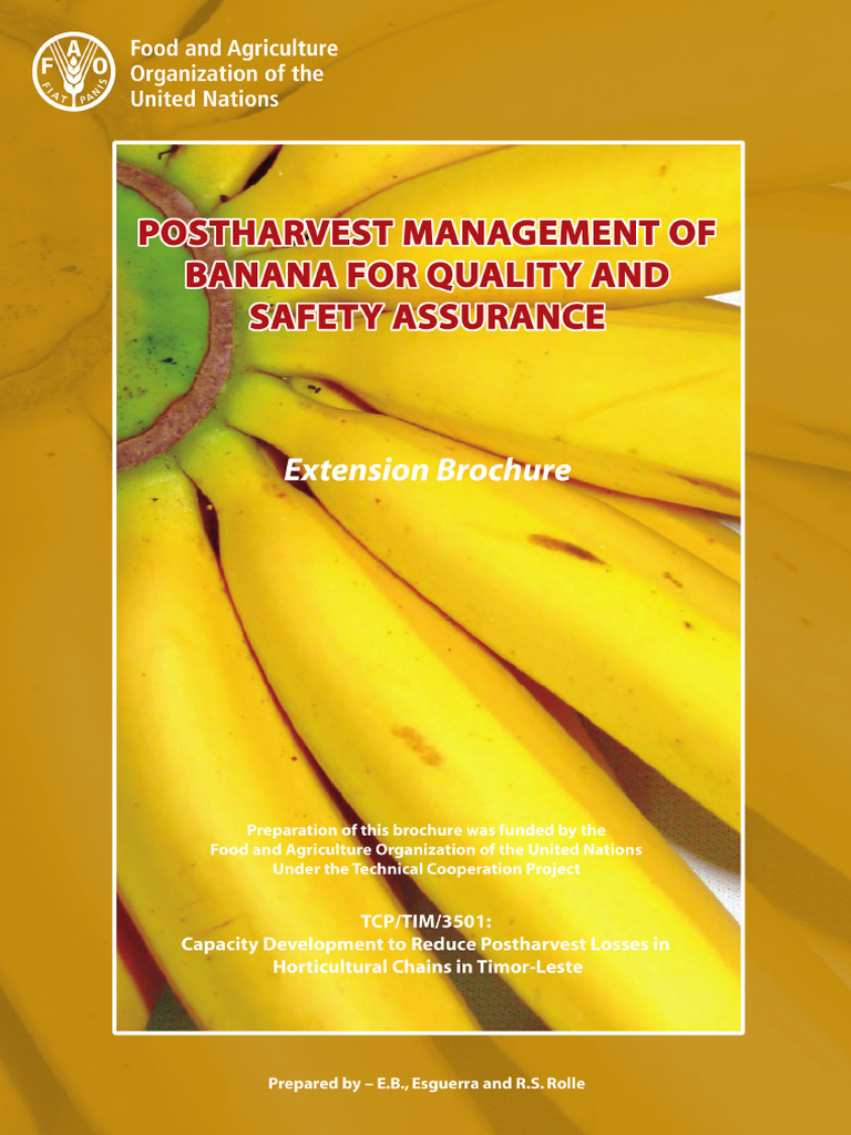 Banana Brochure | PDF | Banana | Decomposition