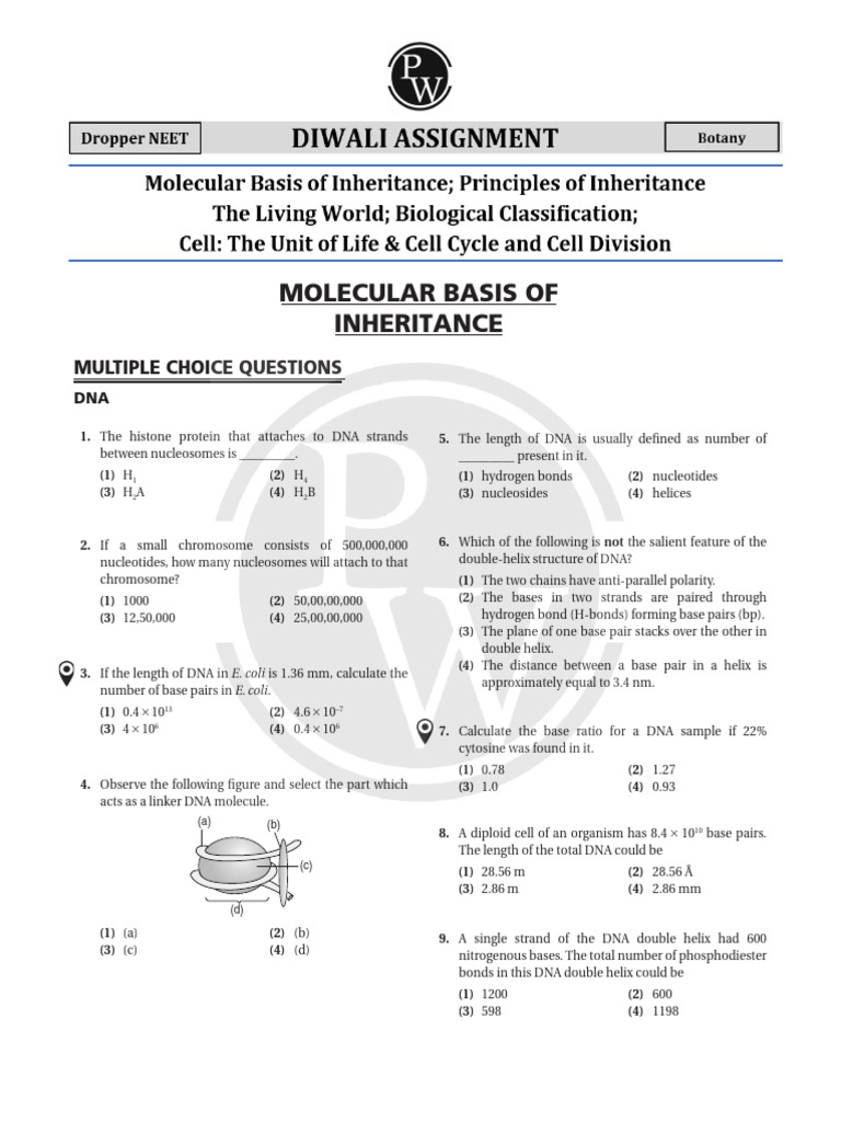 Botany Ques - Dropper NEET | PDF | Dna | Base Pair