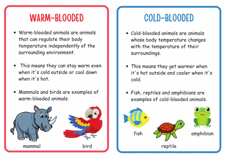 Warm Blooded and Cold Blooded Poster | PDF