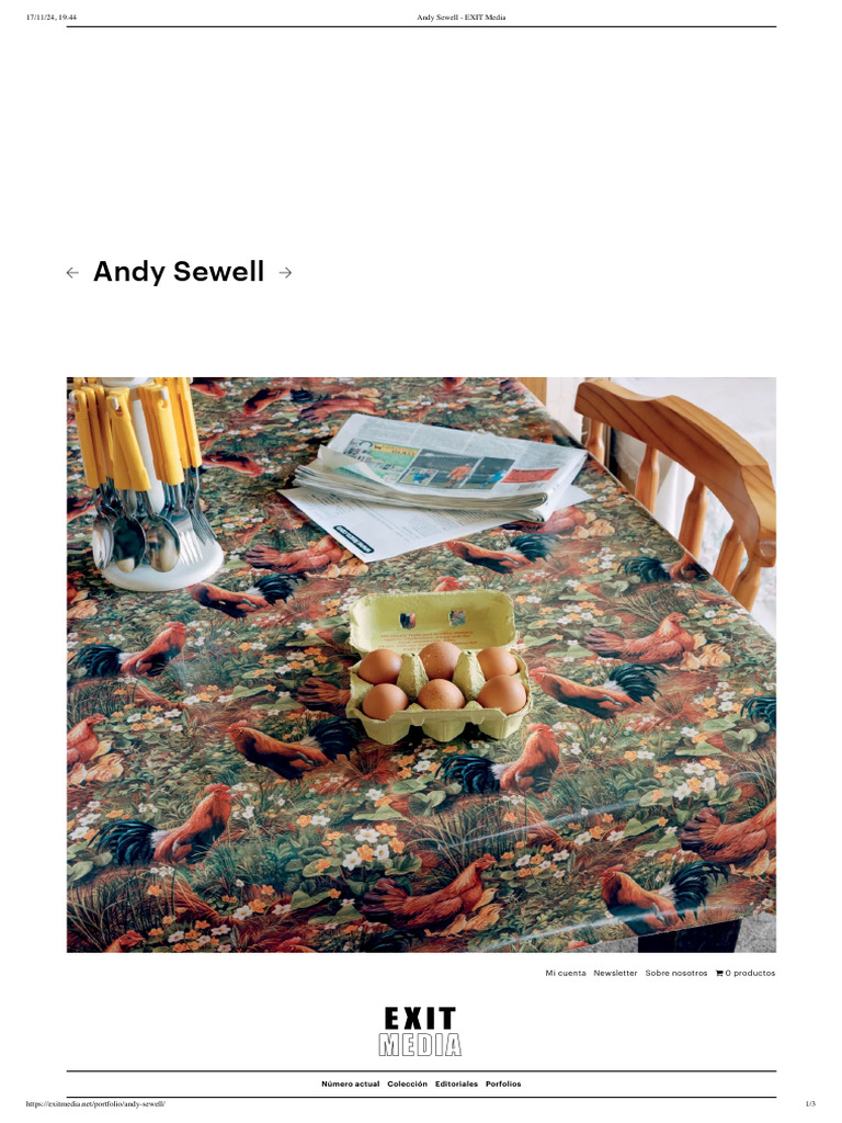 Andy Sewell - EXIT Media | PDF
