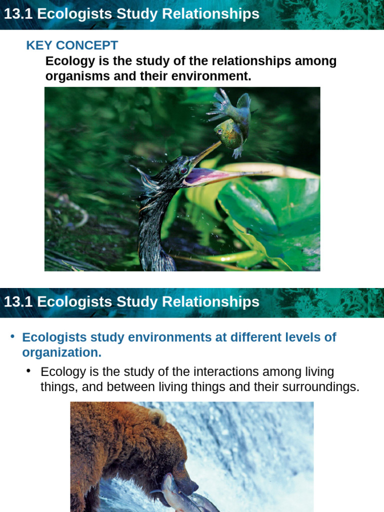 Ecologists Study Relationships | PDF | Wellness | Science & Mathematics