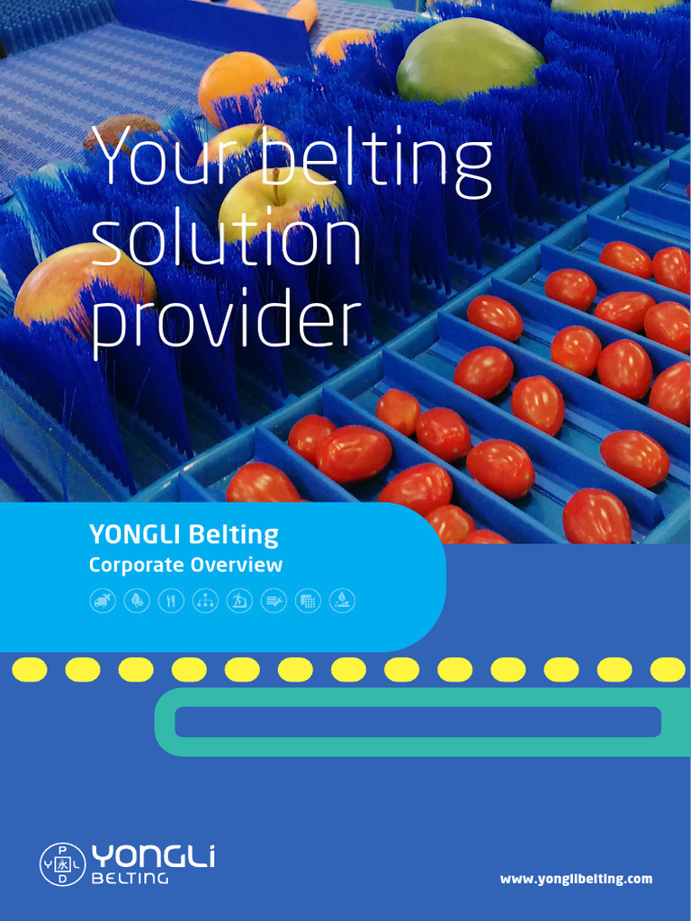 YONGLI Belting: Global Solutions Provider | PDF | Sustainability ...