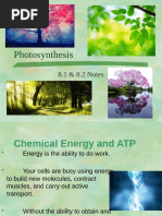 ACT Biology Practice Test DR Mai Abd El Salam 1 10 | PDF | Synapse ...