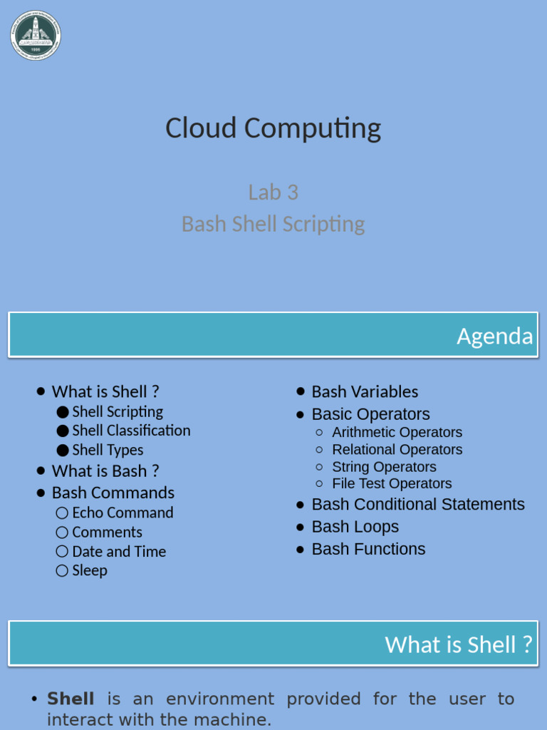 [CC_23] Lab 3 | PDF | Command Line Interface | Shell (Computing)