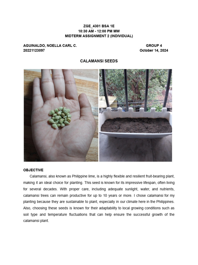 Midterm Assignment 3 | PDF