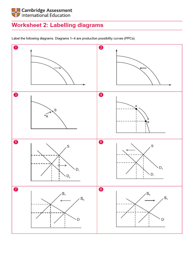 AO2 Worksheet 2 Labelling Diagrams | PDF
