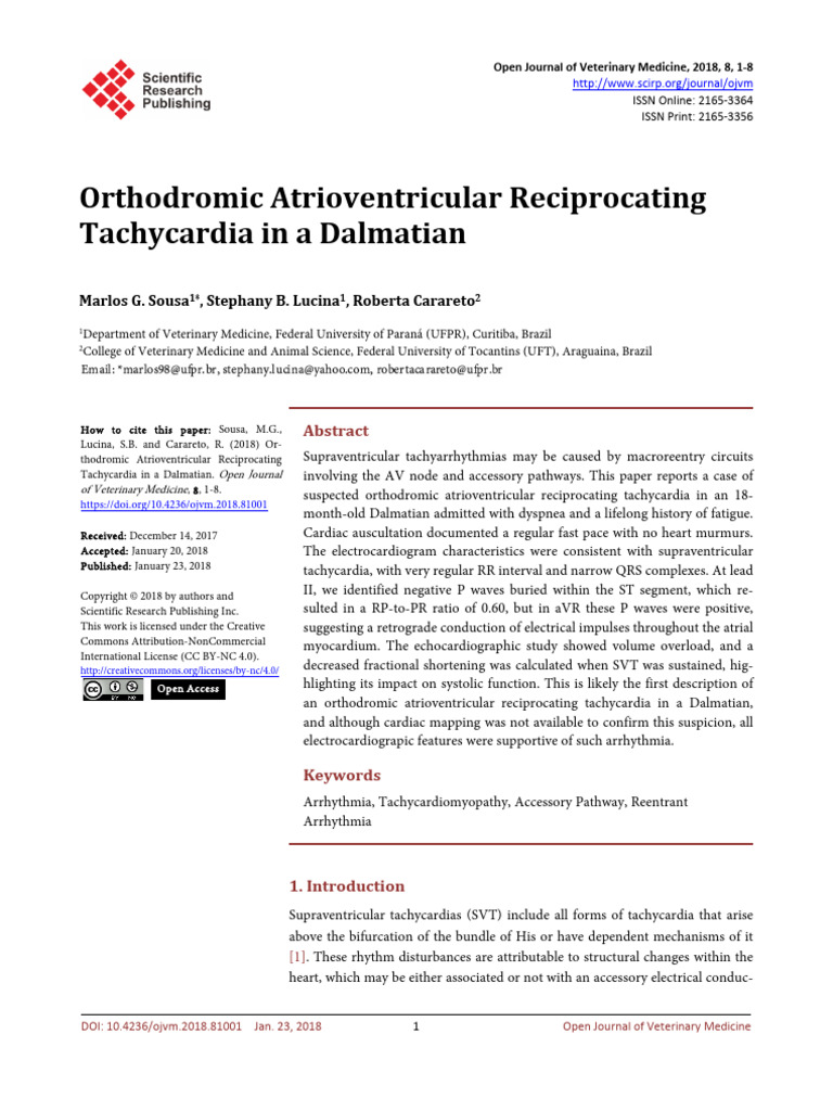 Orthodromic Atrioventricular Reciprocating Tachycardia in A Dalmatian ...