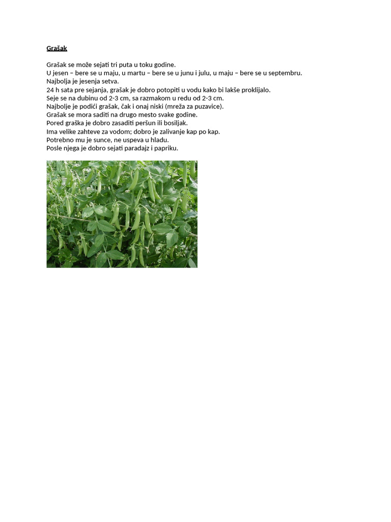 Grasak | PDF