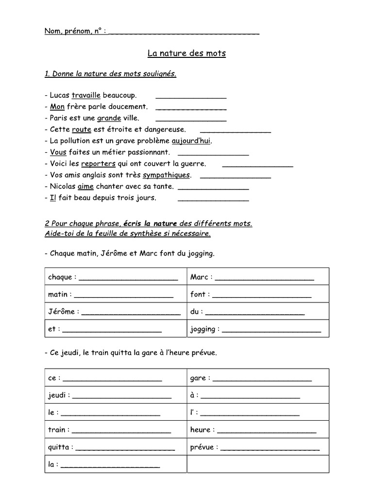 Exercices Nature Des Mots CM2 | PDF