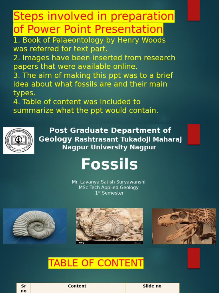 La Vanya | PDF | Fossil | Earth Sciences