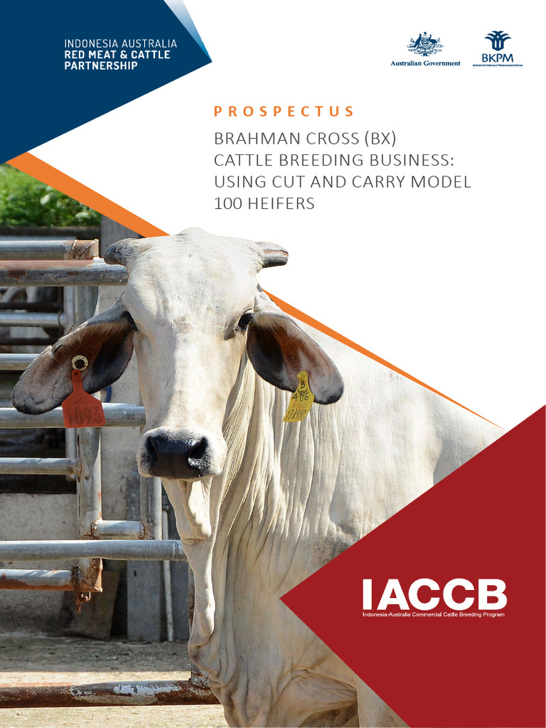0127 Prospectus - Cut&Carry100H - en | PDF | Cattle | Internal Rate Of ...