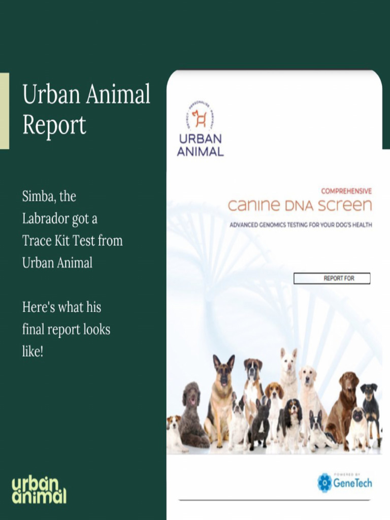 Urban-Animal-Map-Kit 1234 | PDF