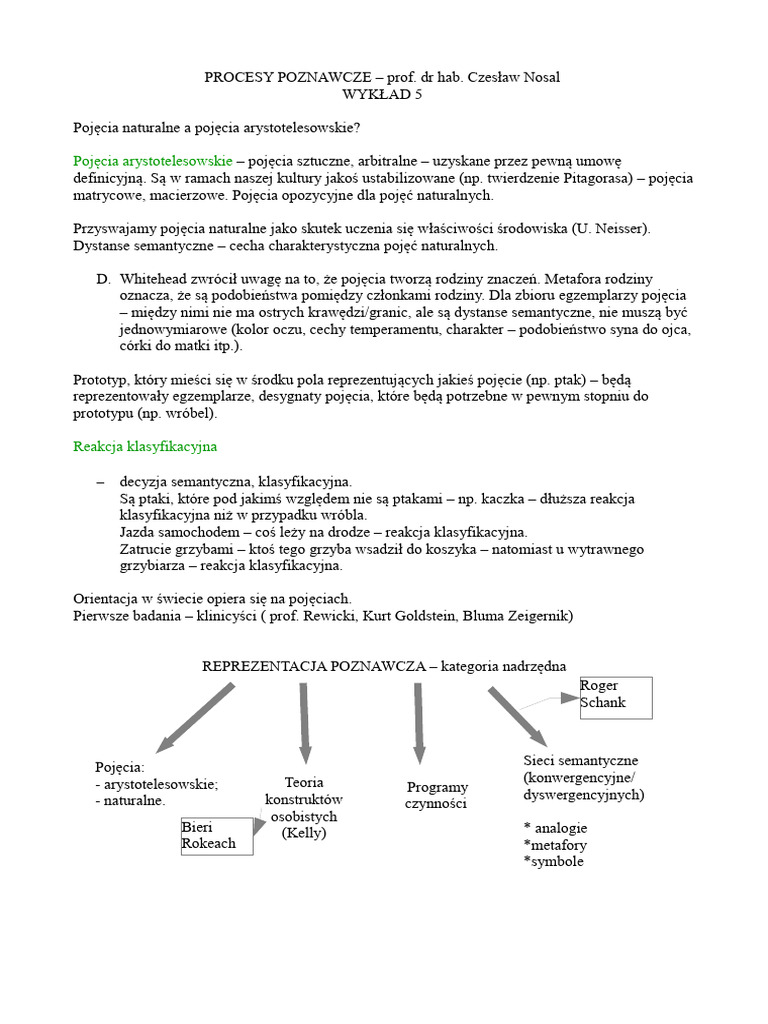 Procesy Poznawcze - Wykład 5 | PDF