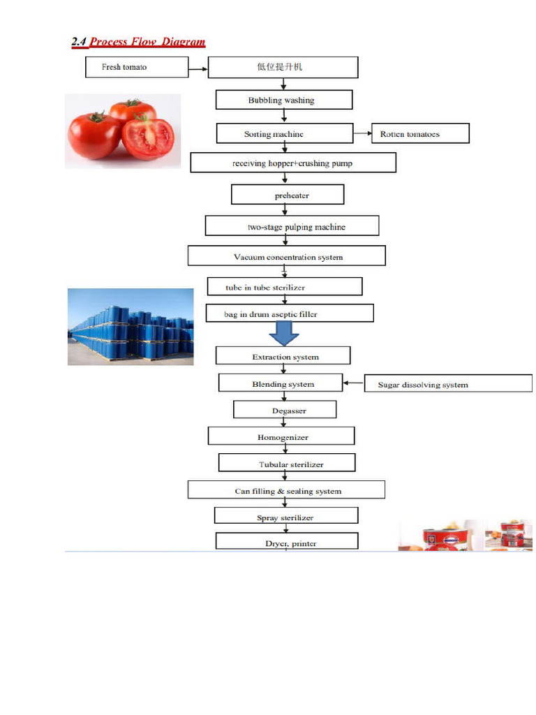 Tomato Paste Machinery | PDF