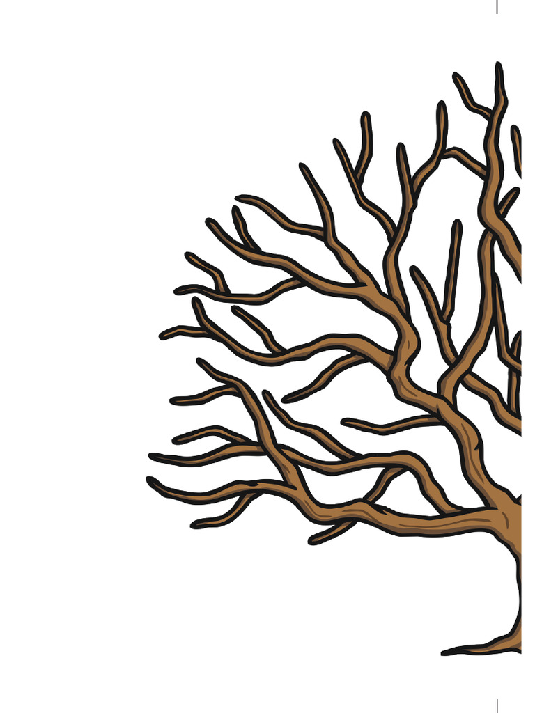 2xa4 Copac - Material Decupabil | PDF