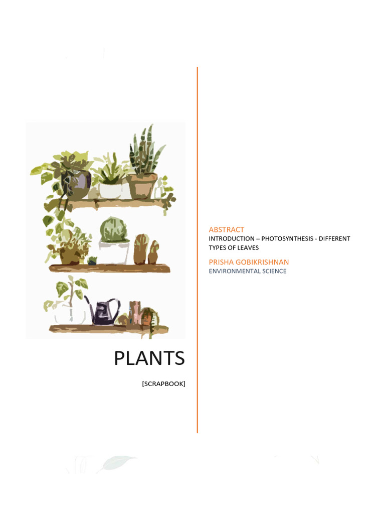 Leaf Assignment | PDF | Leaf | Plant Physiology