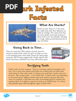 Whale Shark Worksheets Sample | PDF