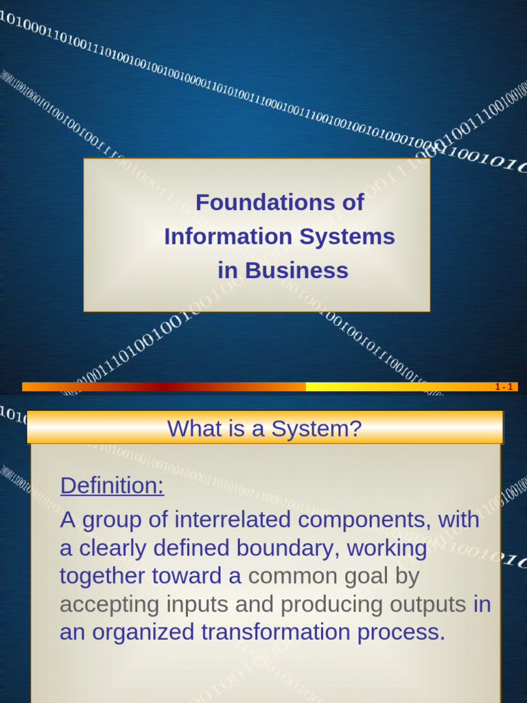 Information Systems Final | PDF | Computer Network | Information