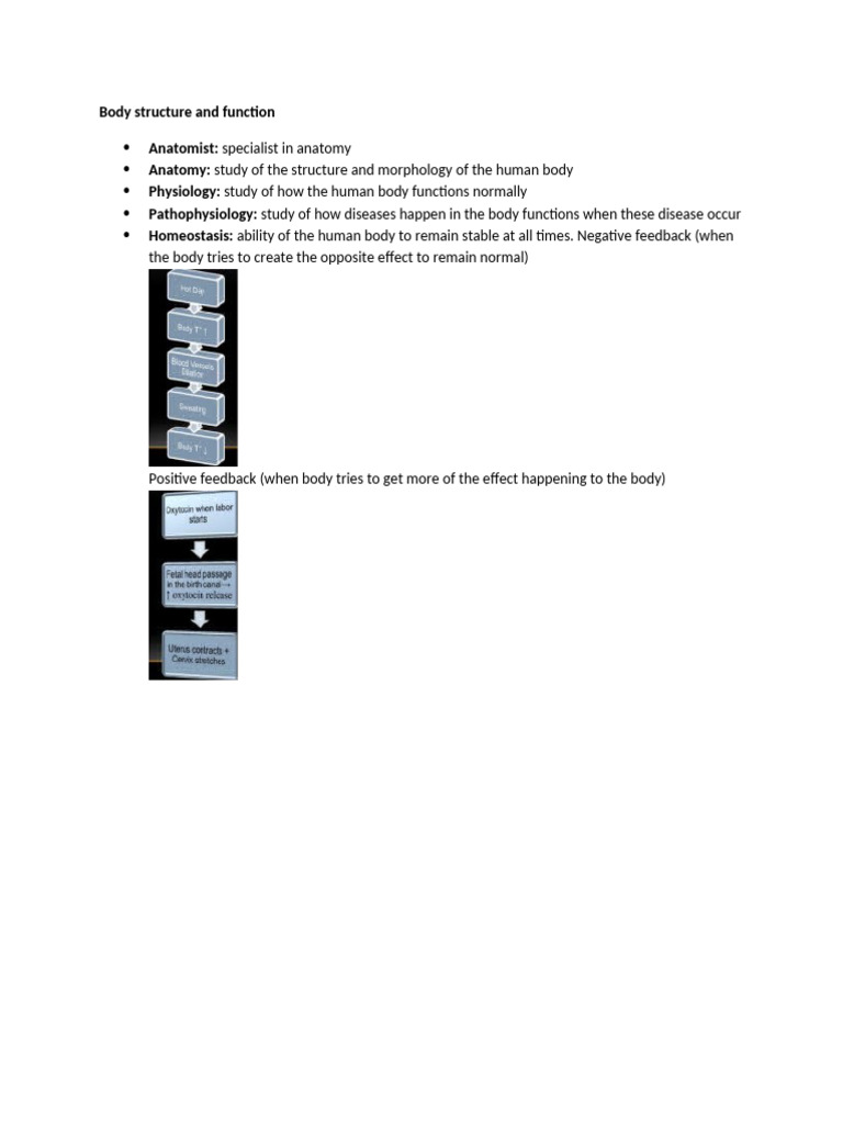 Body Structure and Function | PDF | Self-Improvement