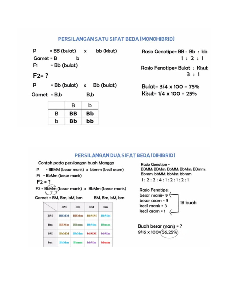 Pewarisan Sifat | PDF