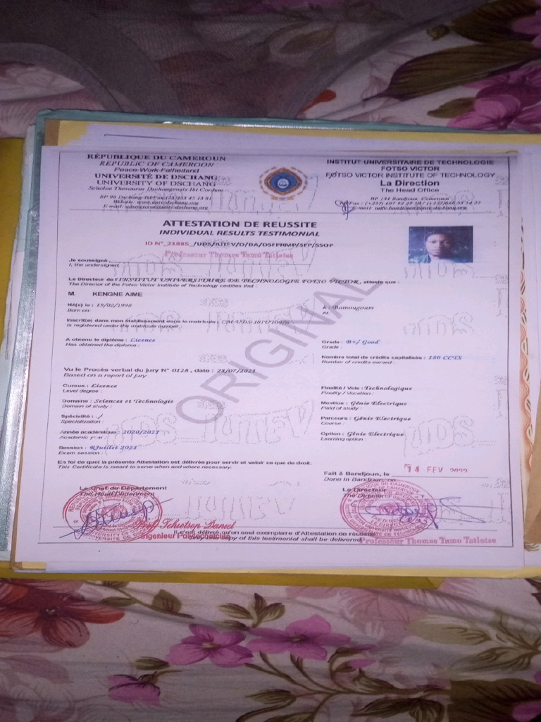 PDF Phoenix 20240828 103724 | PDF