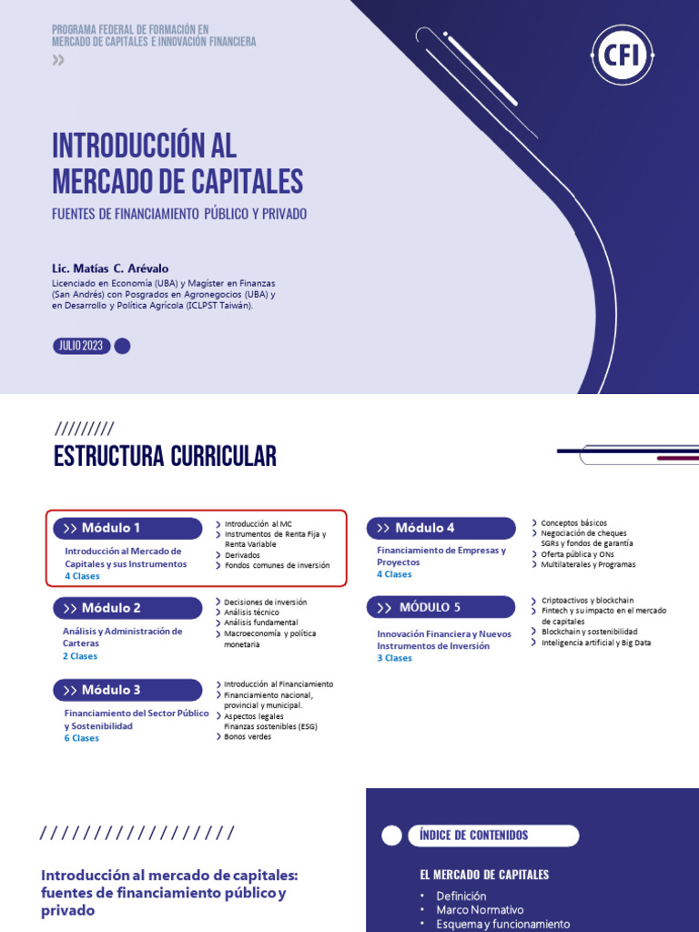 Clase 1 - Introducción Al Mercado de Capitales | PDF | Portafolio (Finanzas) | Bolsa