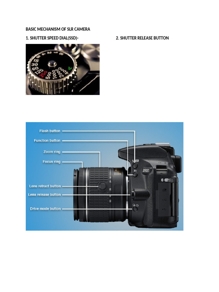 Basic Mechanism of SLR Camera | PDF | Autofocus | Camera