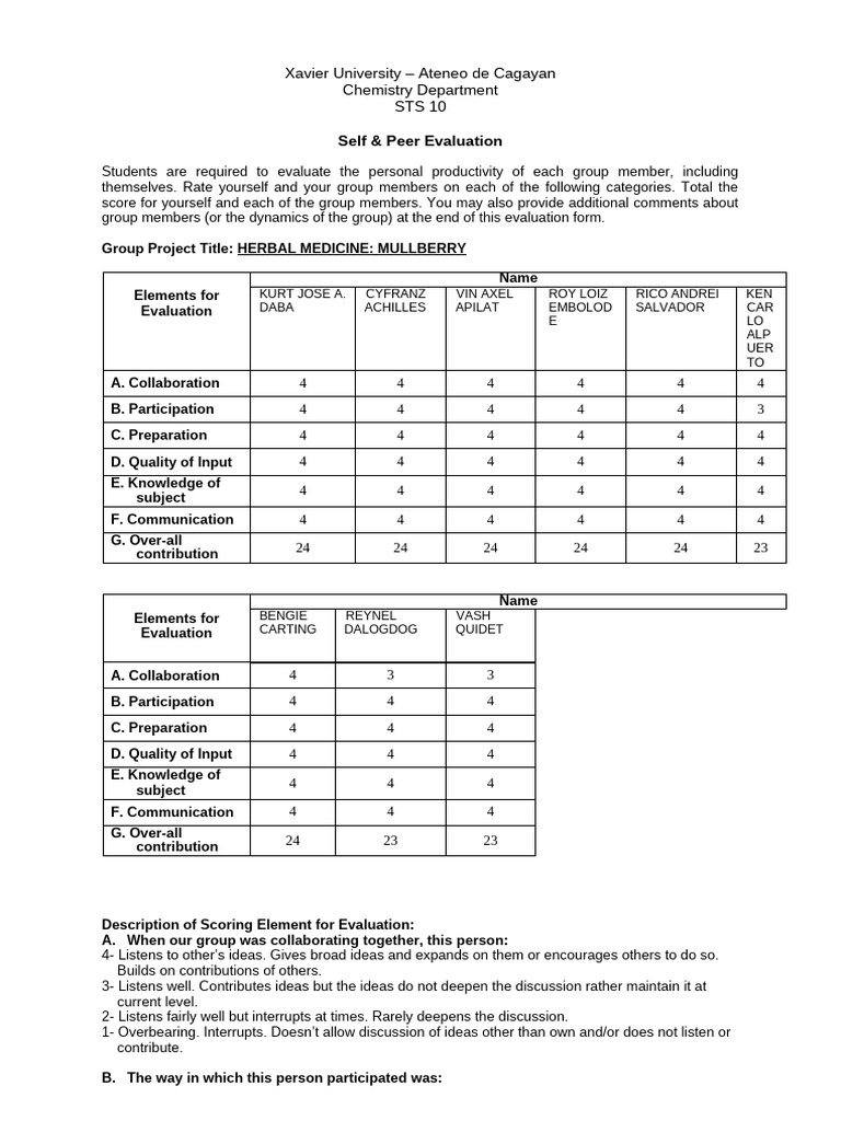 Self Peer Evaluation STS 10.CARTING 2 | PDF | Information | Cognitive ...