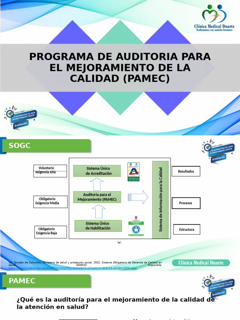 02 Presentación Pamec | PDF | Auditoría