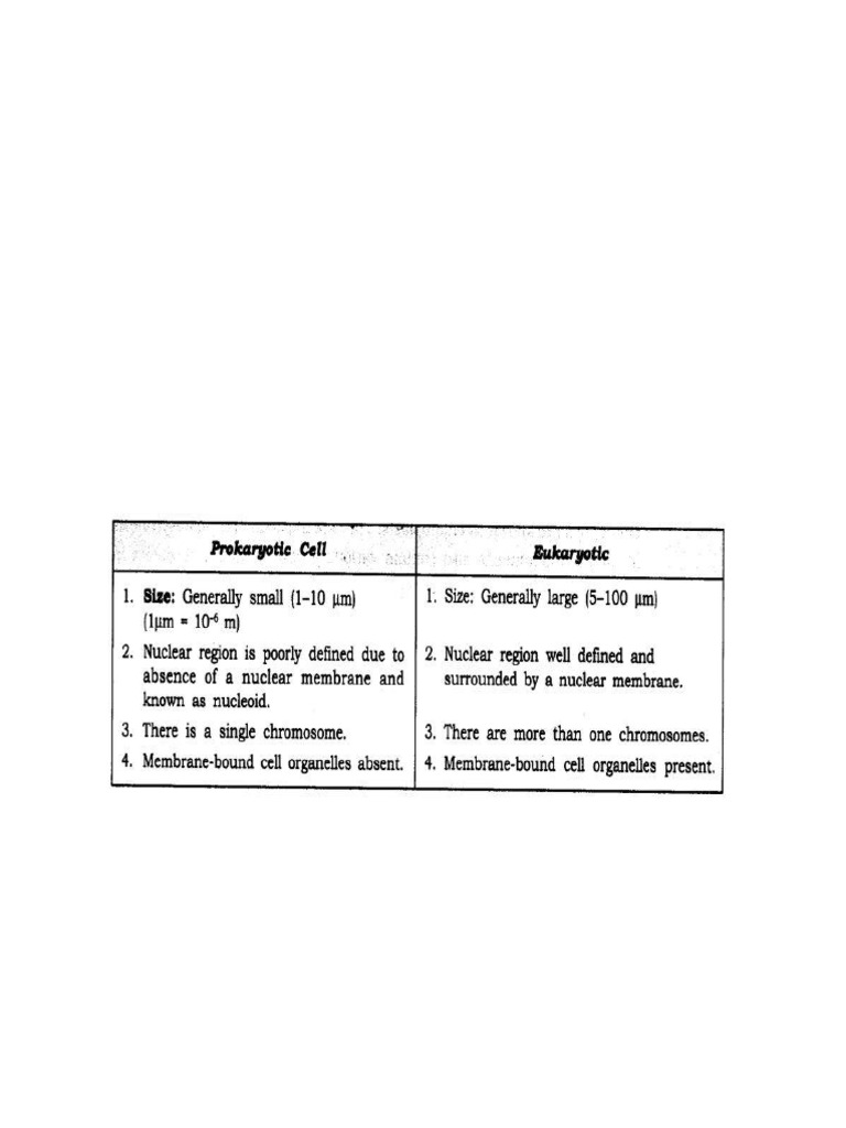 Class 9 Bio Ui2 Part1 Notebook Work Pdf Cell Biology Mitochondrion 