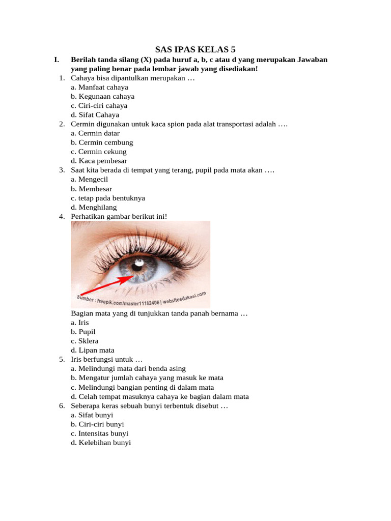 Sas Ipas Kelas 5 | PDF