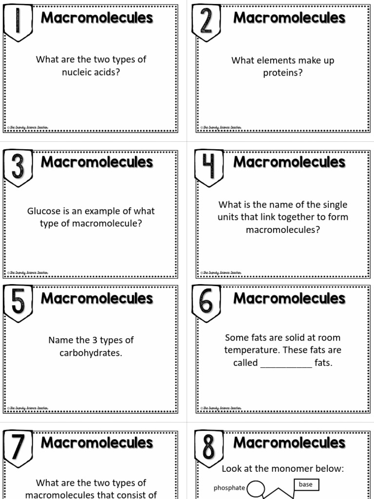 Macromolecule Task Cards | PDF | Macromolecules | Lipid