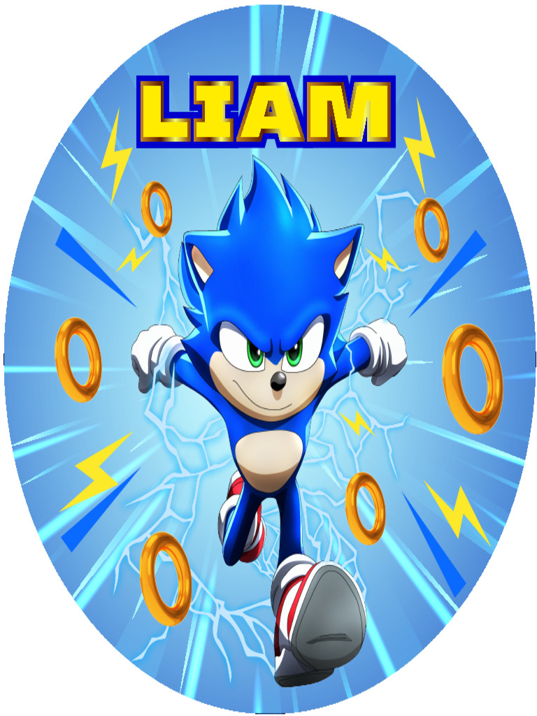 Liam Sonic Banner 48x48 | PDF