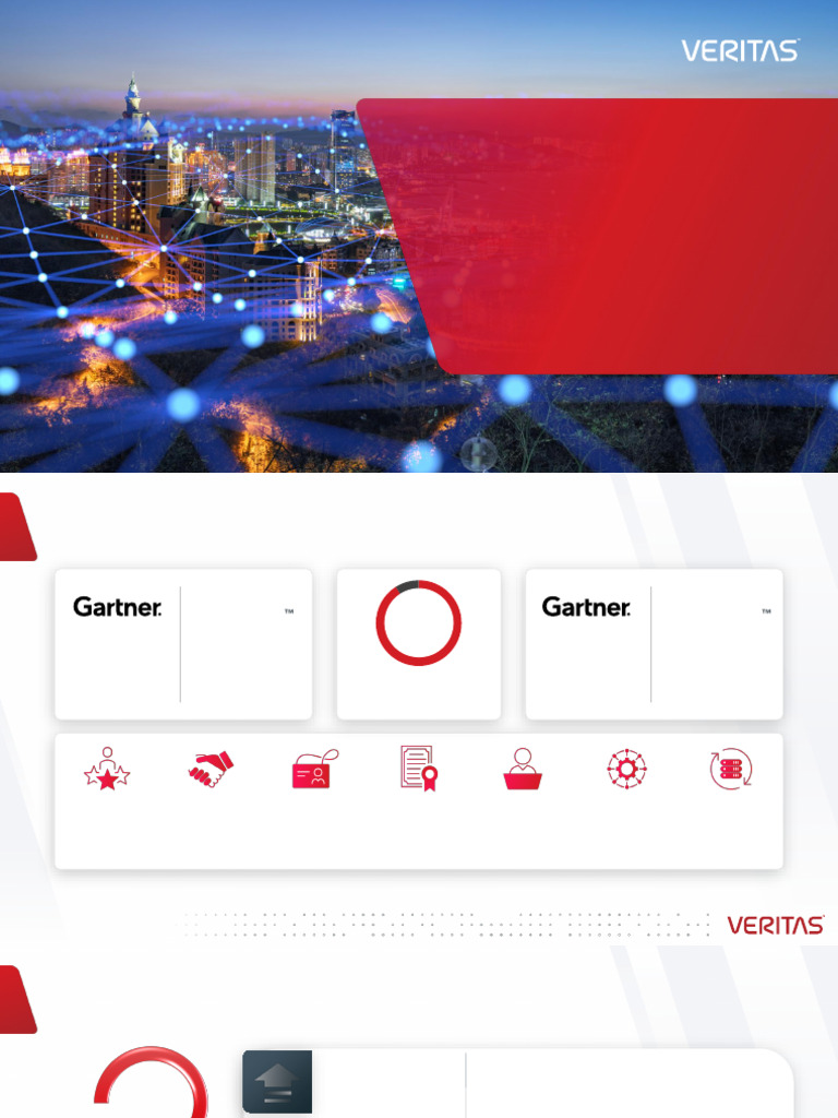 Veritas Partner Force Program Overview | PDF