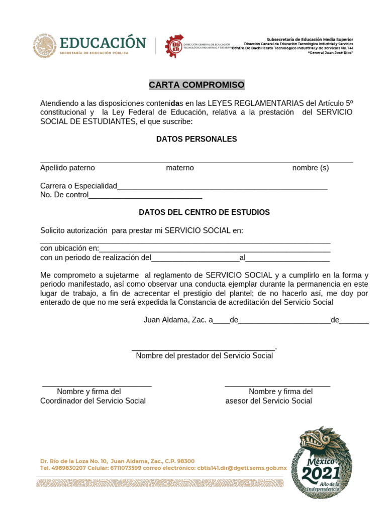 Formatos Servicio Social Pdf