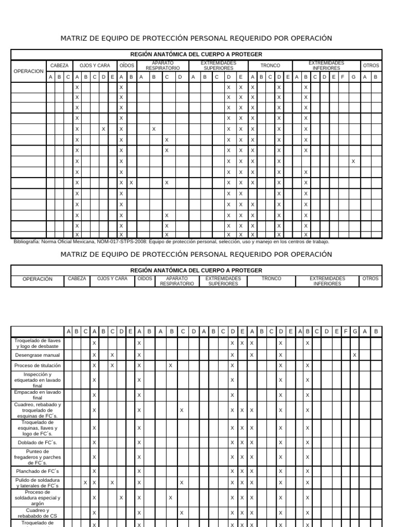 Matriz de EPP SESION 3 | PDF