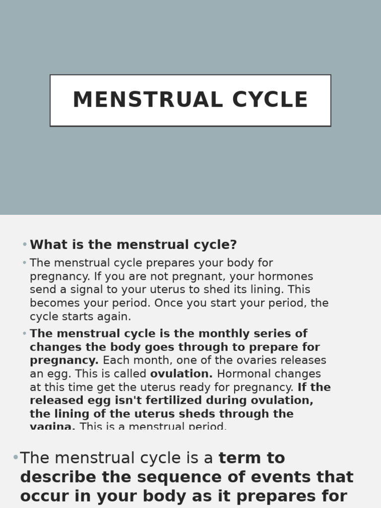 Menstrual-Cycle Lecture | PDF | Menstrual Cycle | Mammal Reproductive ...