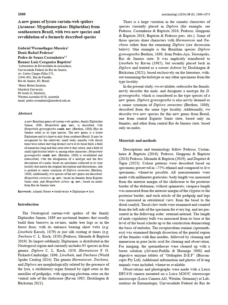 Wermelinger-Moreira Et Al, 2024 - New Genus Lyrate Curtain-Web Spiders ...