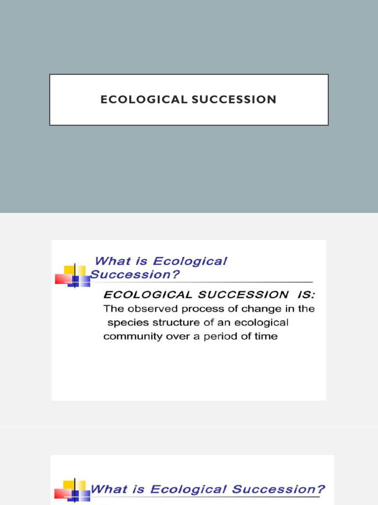 Ecological Succession | PDF