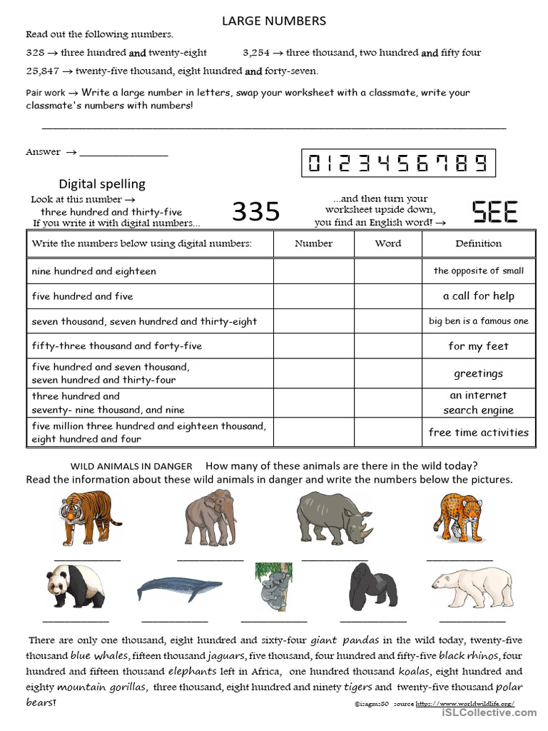Large Numbers | PDF