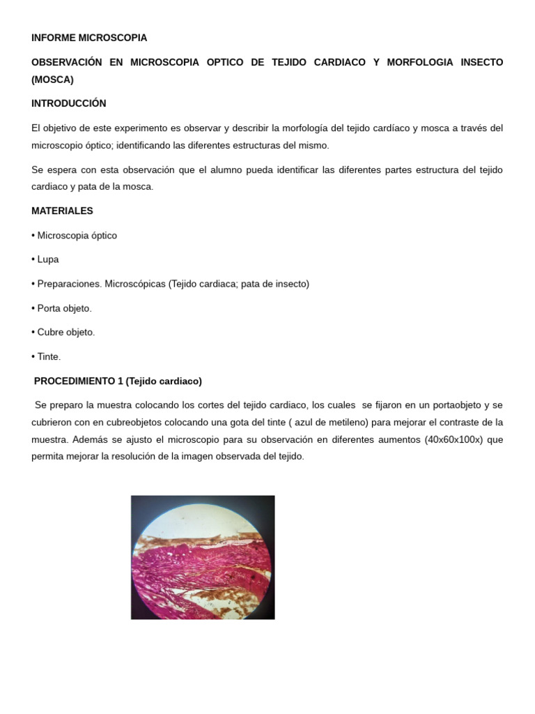 Informe Micros | PDF | Ciencia y matemáticas