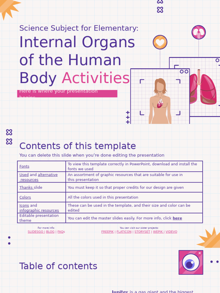 Science Subject For Elementary - Internal Organs of The Human Body ...